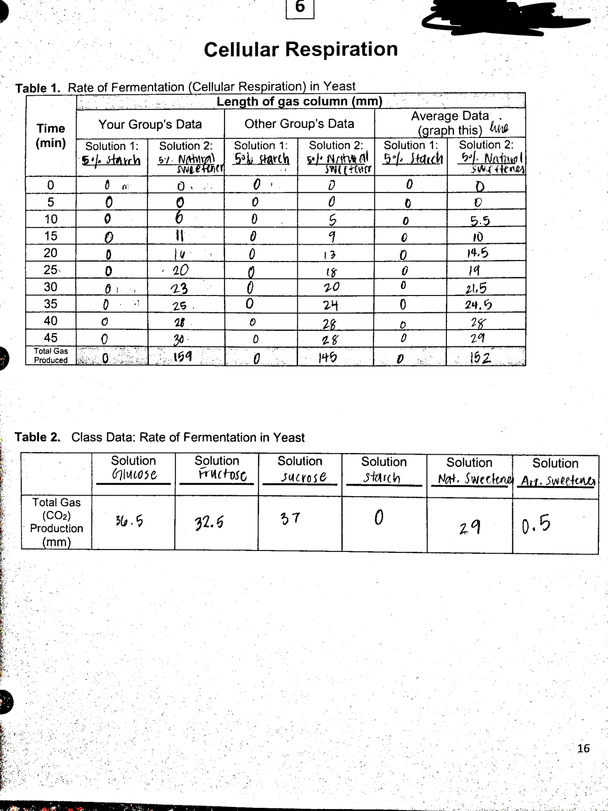 Lab 6 Cellular Respiration - Rate of Fermentation (Cellular Respiration ...