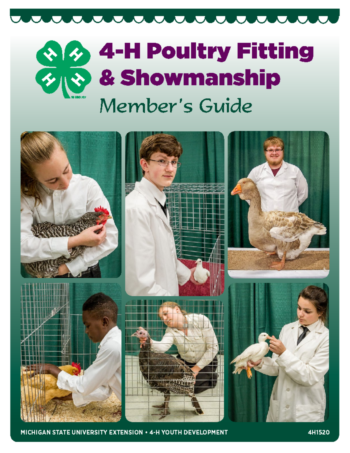 Poultry+Showmanship - 4-H Poultry Fitting & Showmanship Member’s Guide ...