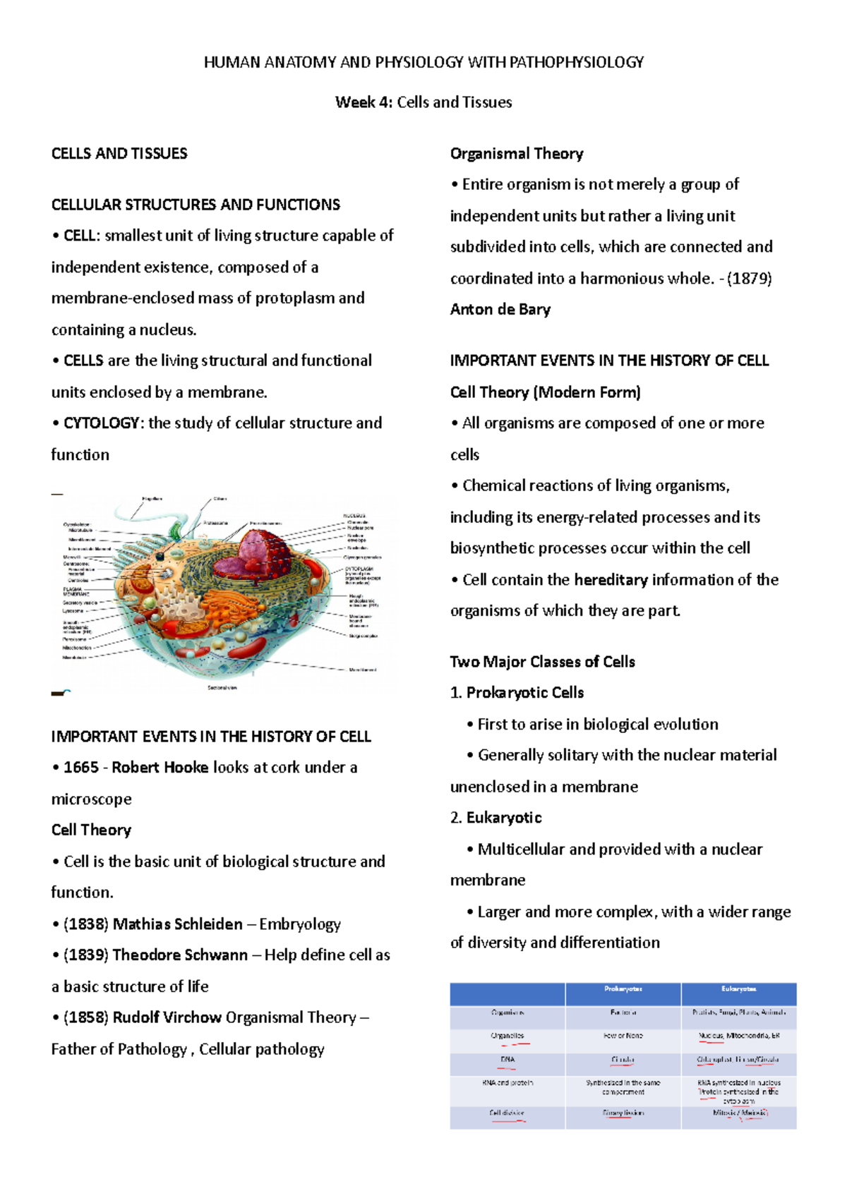 4. WEEK 4- Cells AND Tissue - Week 4: Cells and Tissues CELLS AND ...