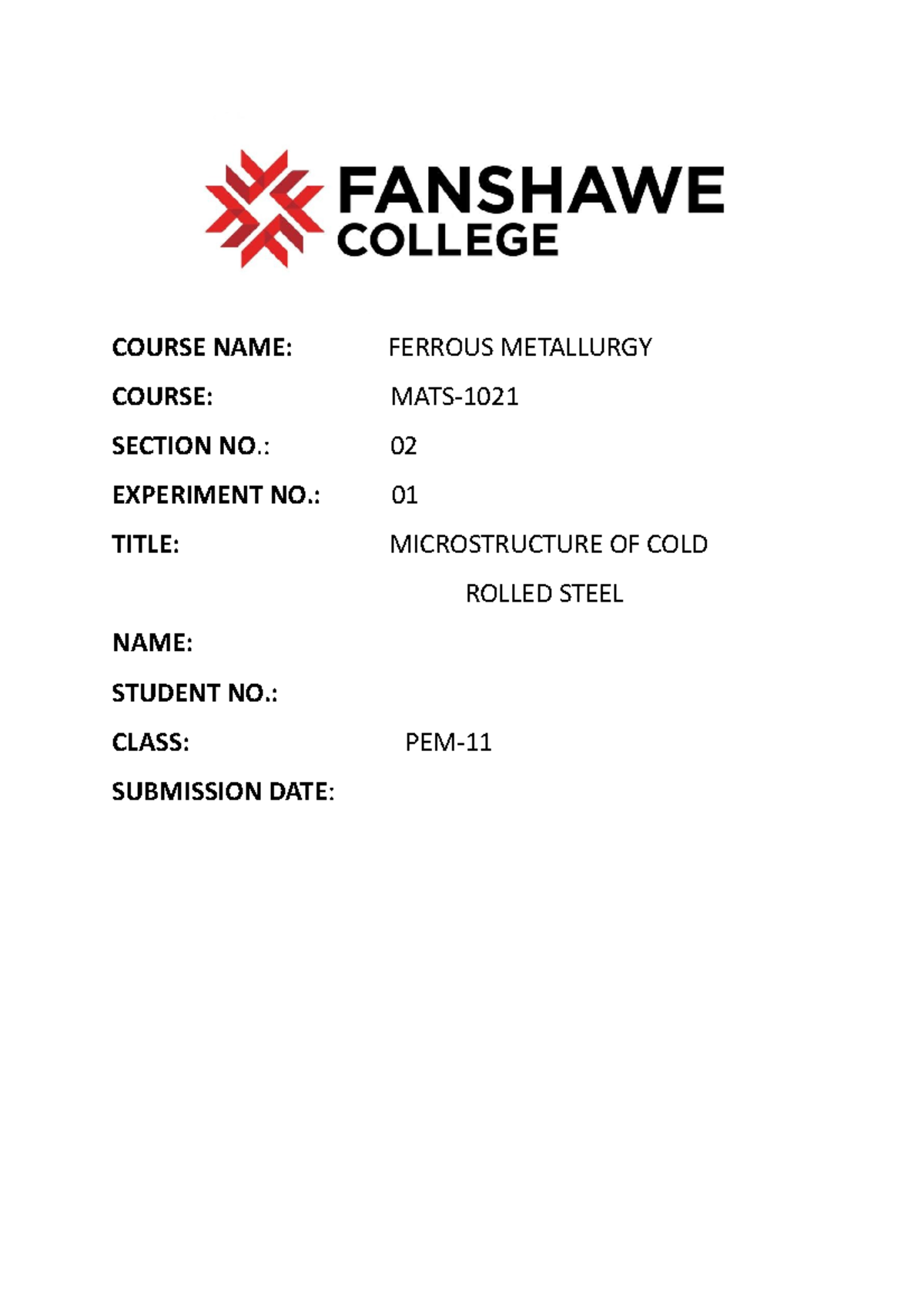 Ferrous metallurgy report-1 - COURSE NAME: FERROUS METALLURGY COURSE ...