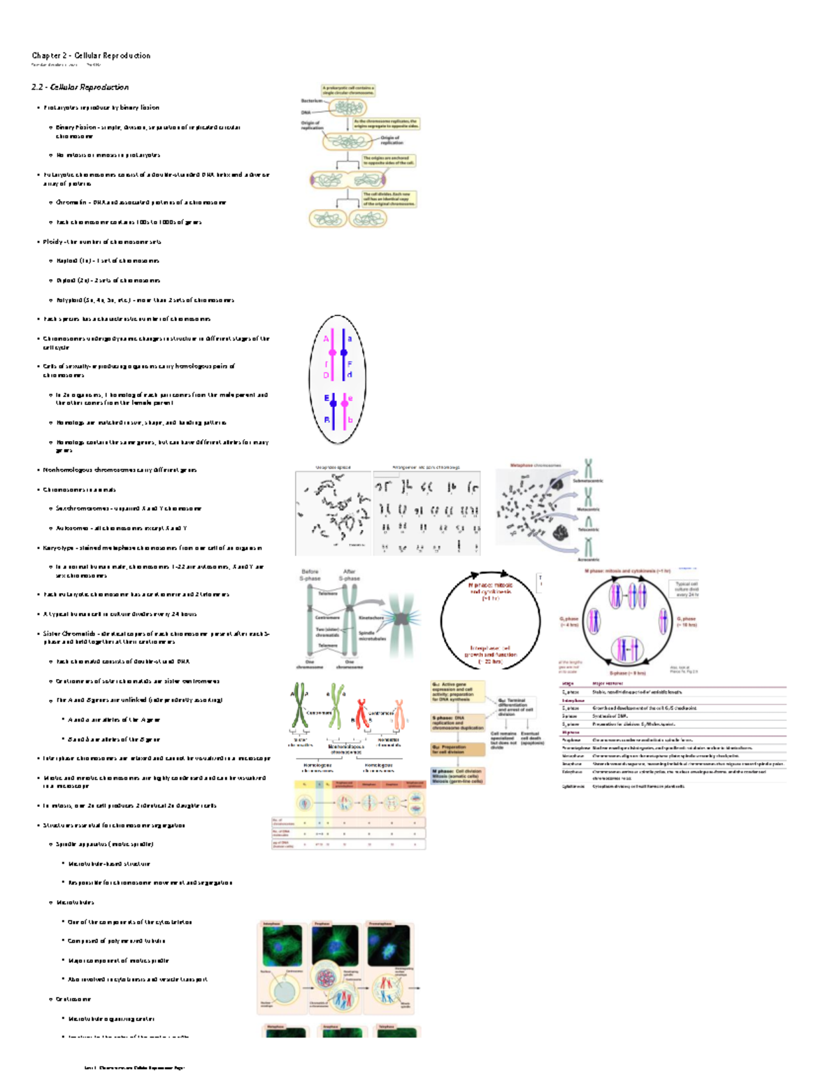 Chapter 2 - Cellular Reproduction - 2 - Cellular Reproduction ...