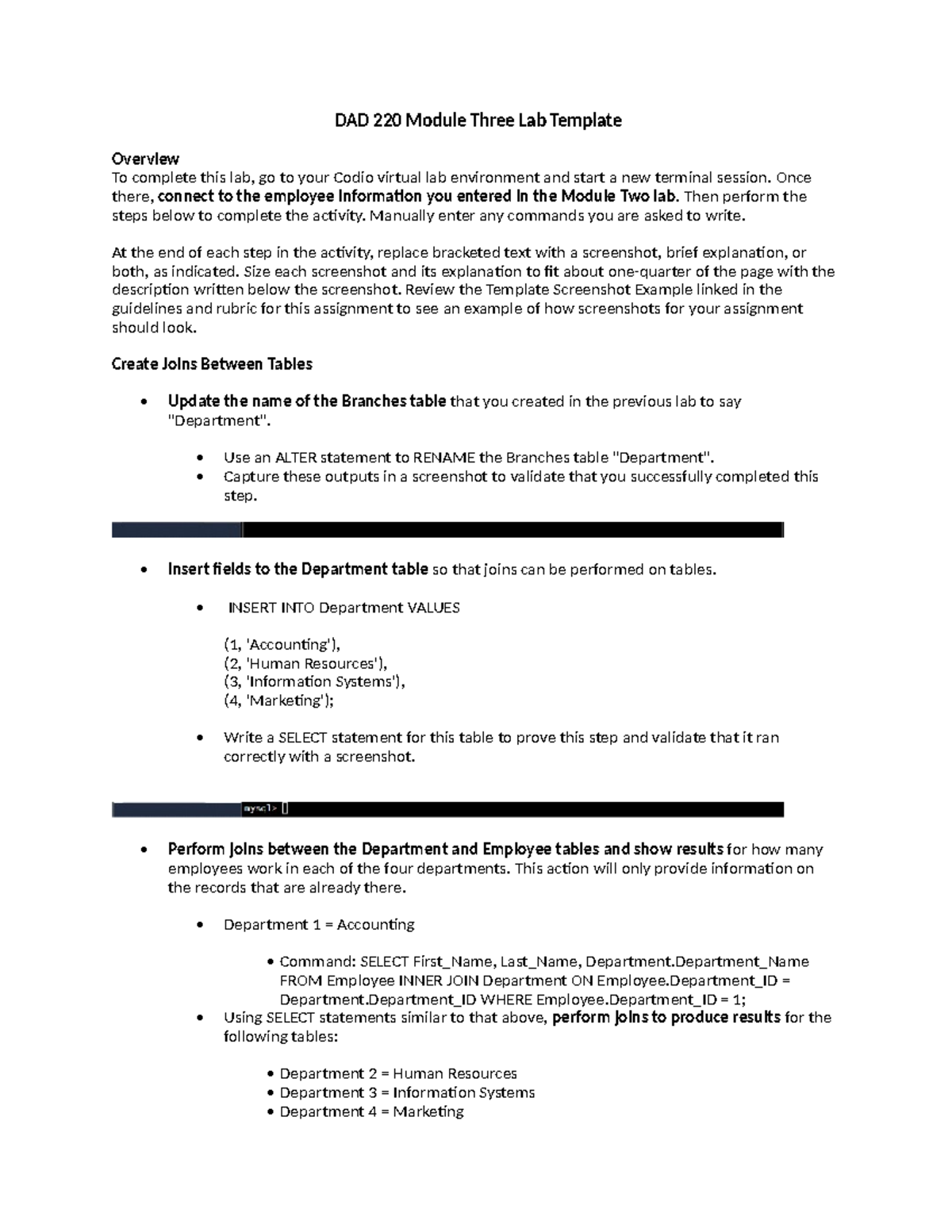 DAD 220 Module Three Lab Template Complete - DAD 220 Module Three Lab Template Overview To ...