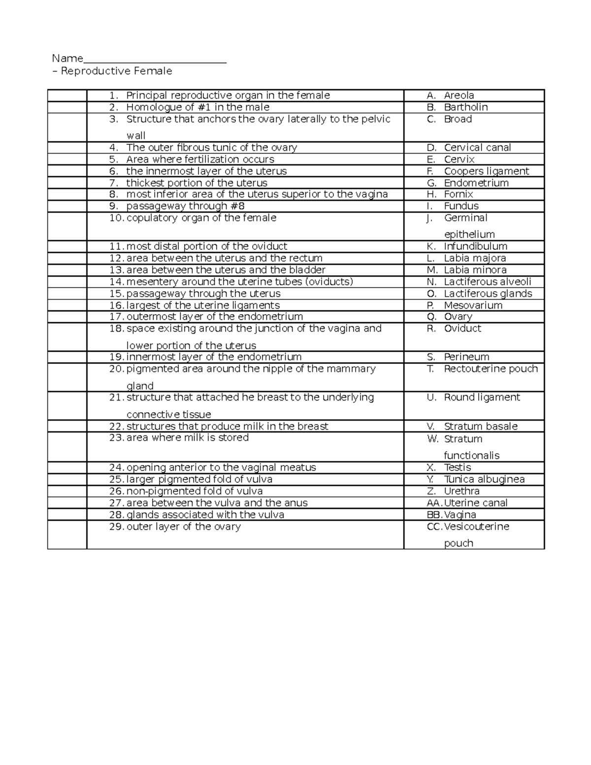 Female repro questions-1 - Name – Reproductive Female Principal ...