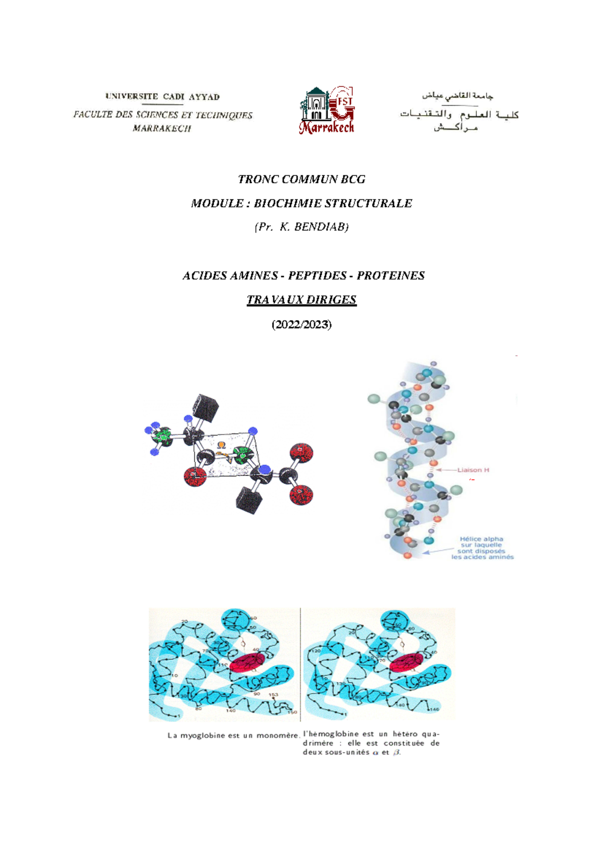 TD BS 22 23 - td du biochimie structurale - GLUCIDES- TRONC COMMUN BCG ...