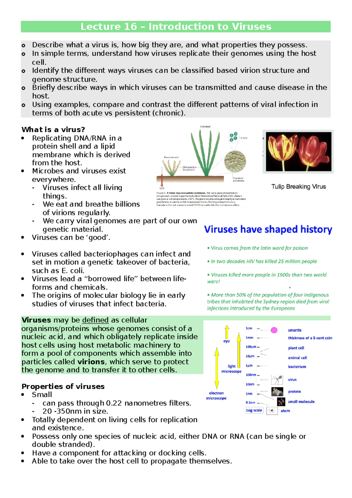 Micro 2011 Week 7 Lectures - Lecture 16 – Introduction to Viruses o ...