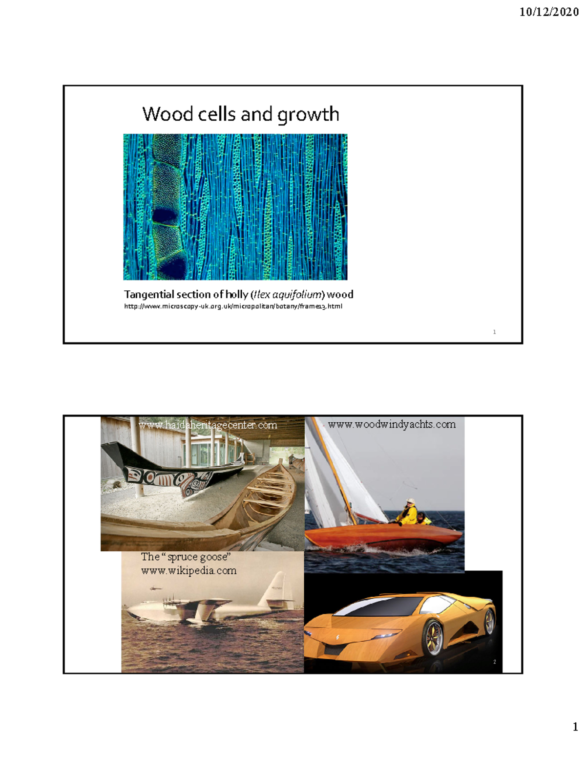 01 Wood cell and growth No Practice Qs 202010 08 - Wood cells and ...