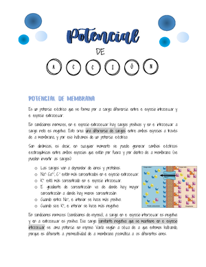 Cap Fisio Renal - Psicopatología - Resin cast of balllike glomeru- lar ...