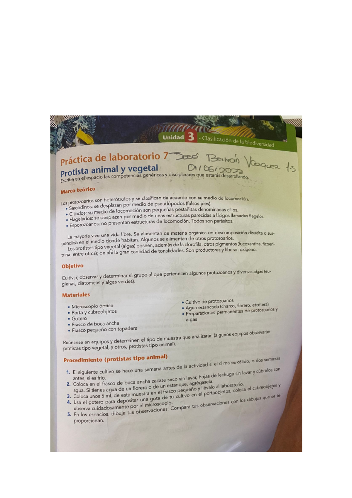 JBV Reportepracticas BBII U3 Lab7 1-05 Eq01 - Comunicación Oral Y ...