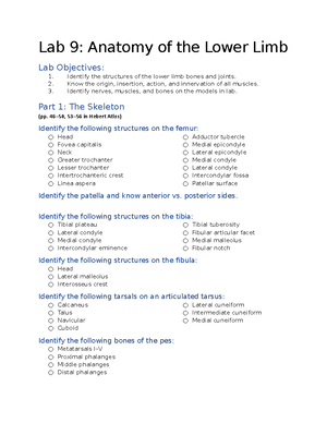NM Phys Lab Report - Neuromuscular Physiology: Exploring Muscle ...