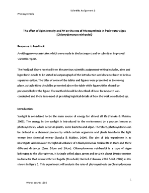 Practical report tips - What to include in the practical report ...