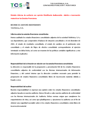 39 - NIA 800 - NORMAS INTERNACIONALES DE AUDITORIA 800 - NORMA ...