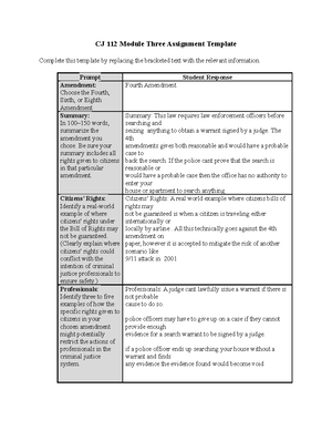 Instructions NP AC365 2021 2b - New Perspectives Access 365/2021 ...