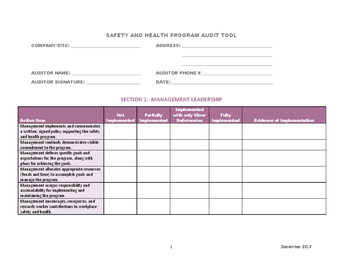 Safety and Health Audit Tool v1 - SAFETY AND HEALTH PROGRAM AUDIT TOOL ...