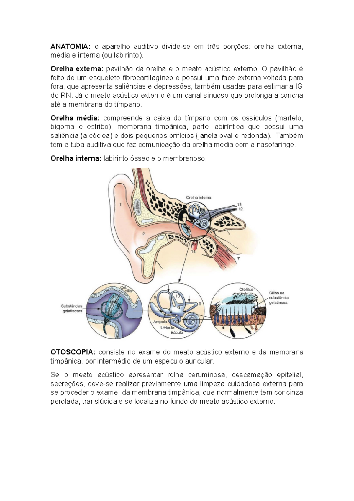 Otoscopia - resumo - ANATOMIA: o aparelho auditivo em orelha externa, e ...