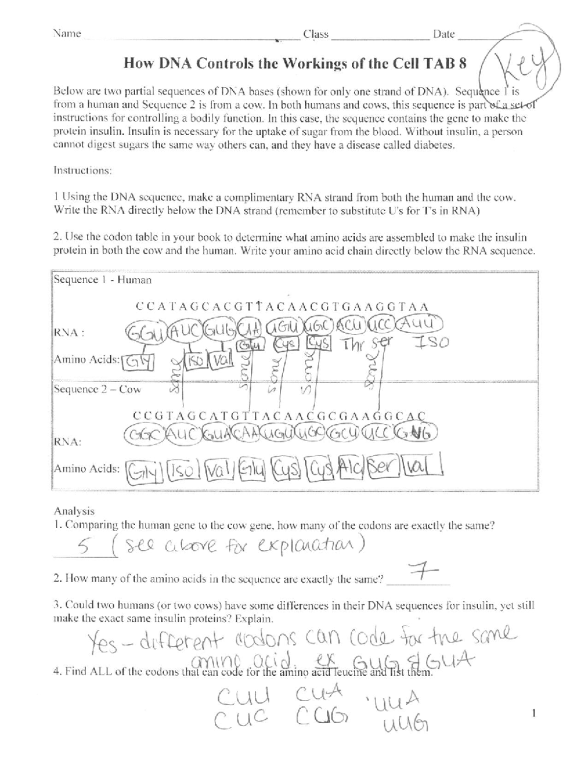 Answer key how DNA controls the workings of the cell - SCI 11000 - Studocu