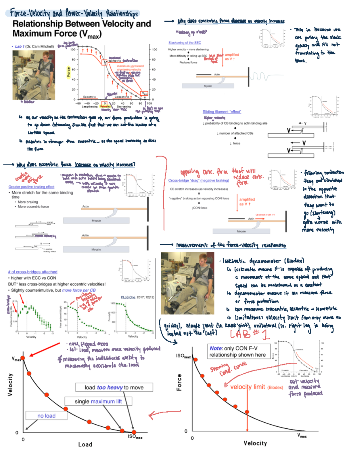 2C03 Test 2 - all content needed for test 2 ...