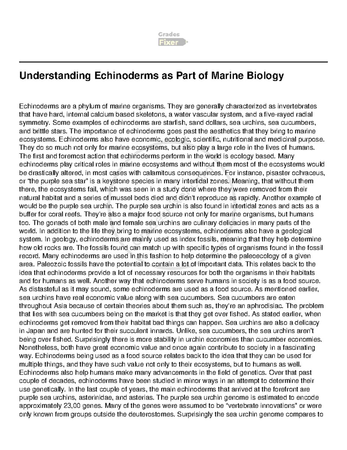 Understanding Echinoderms as Part of Marine Biology - Understanding ...