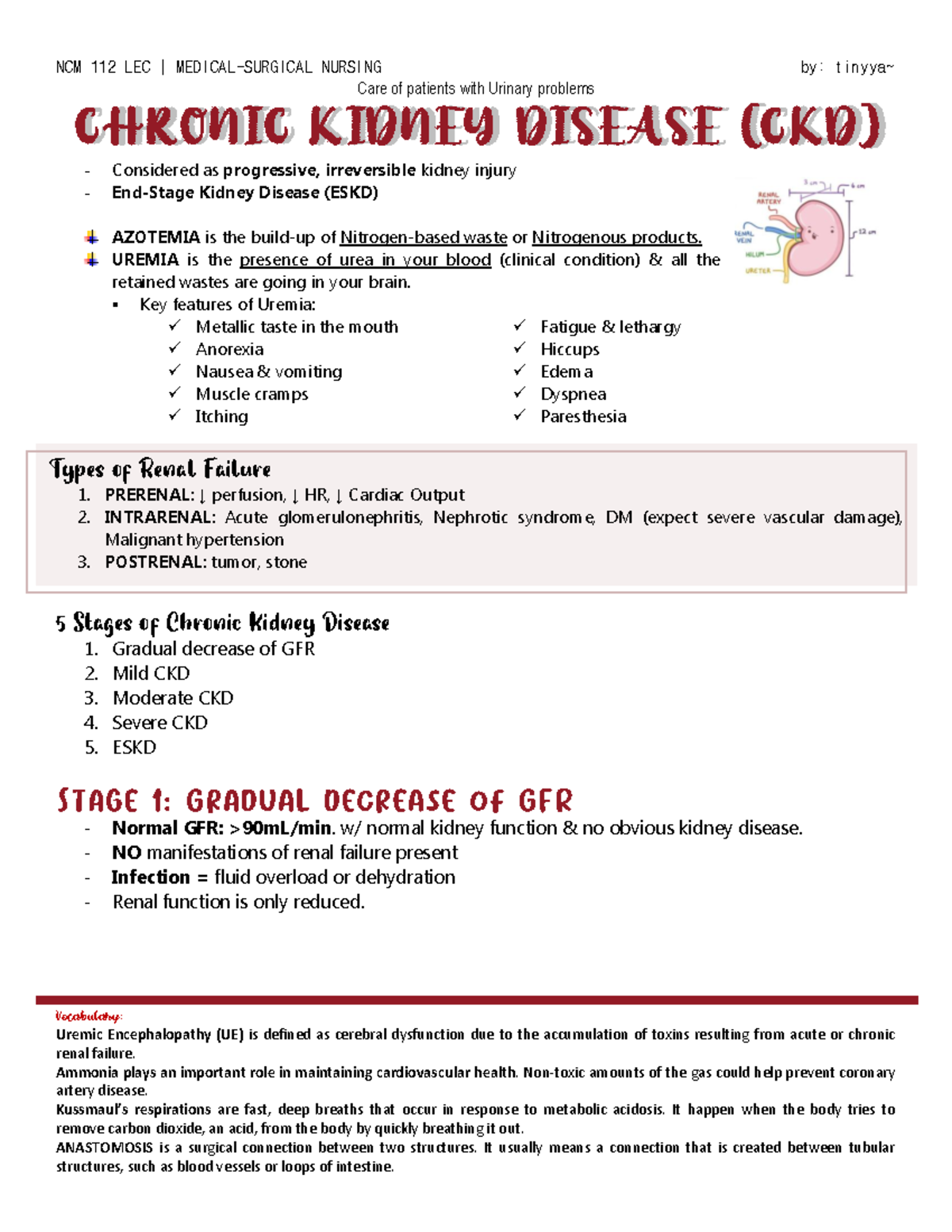 Chronic Kidney Disease (CKD) - Vocabulary: Uremic Encephalopathy (UE ...
