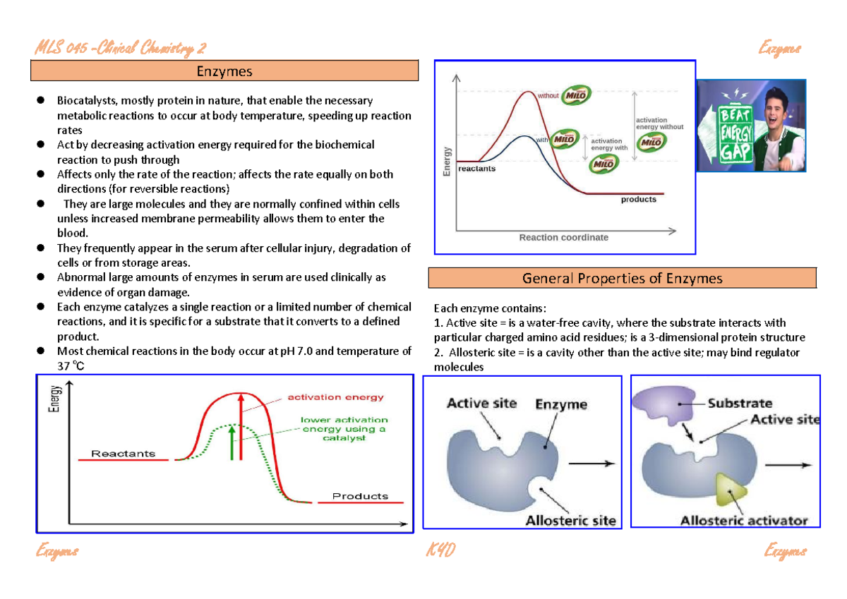 Introduction to Enzymology - Enzymes Biocatalysts, mostly protein in ...