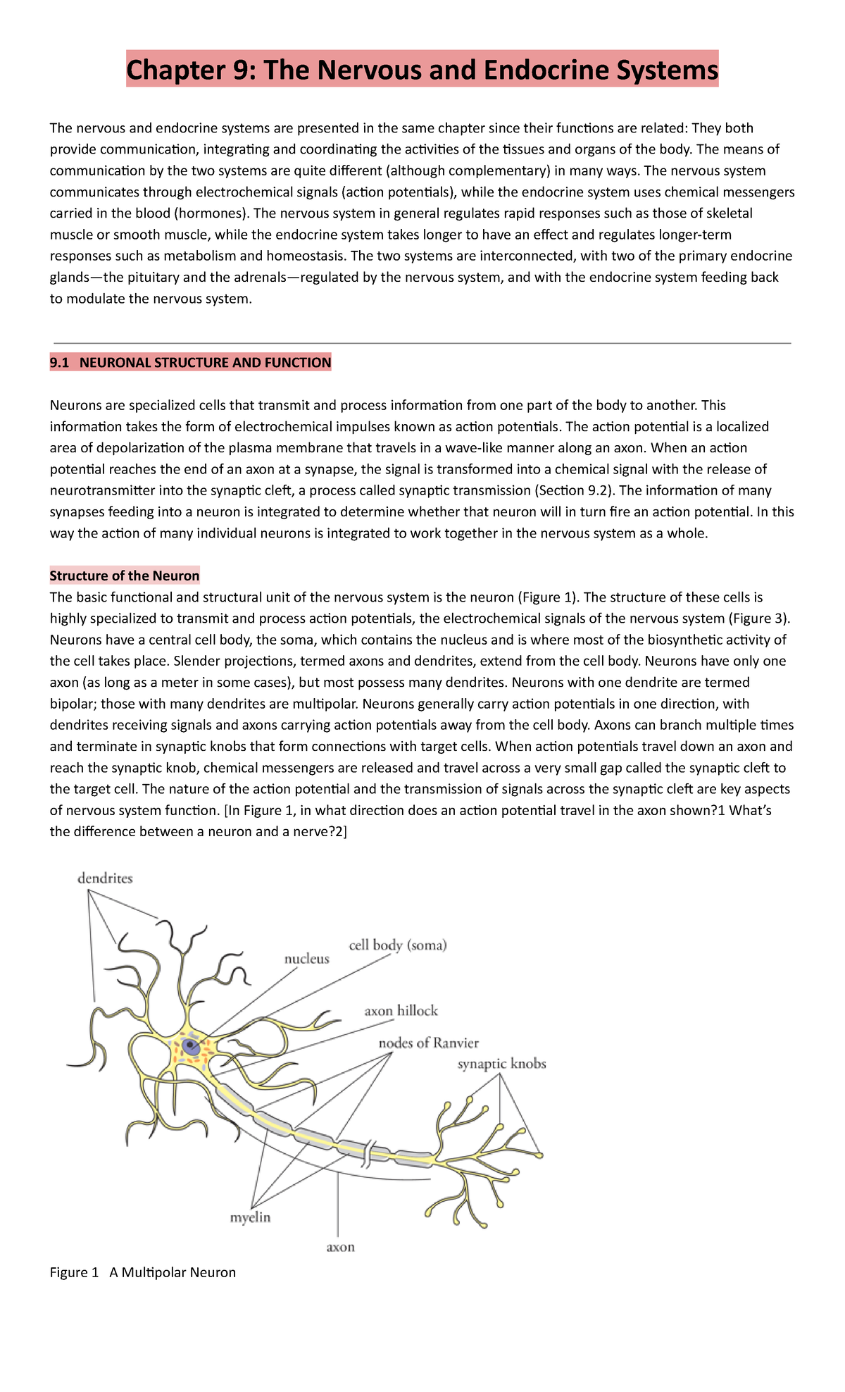 Chapter 9 - Google Docs - MCAT PRINCETON TEXTBOOK - Chapter 9: The ...