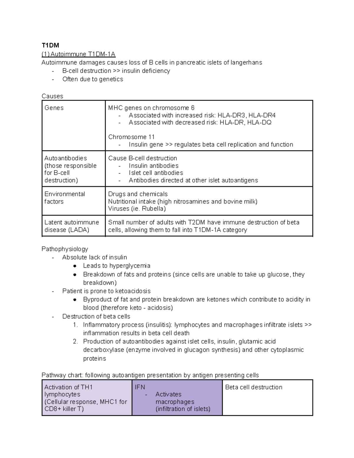 4: Diabetes Mellitus - T1DM (1) Autoimmune T1DM-1A Autoimmune damages ...