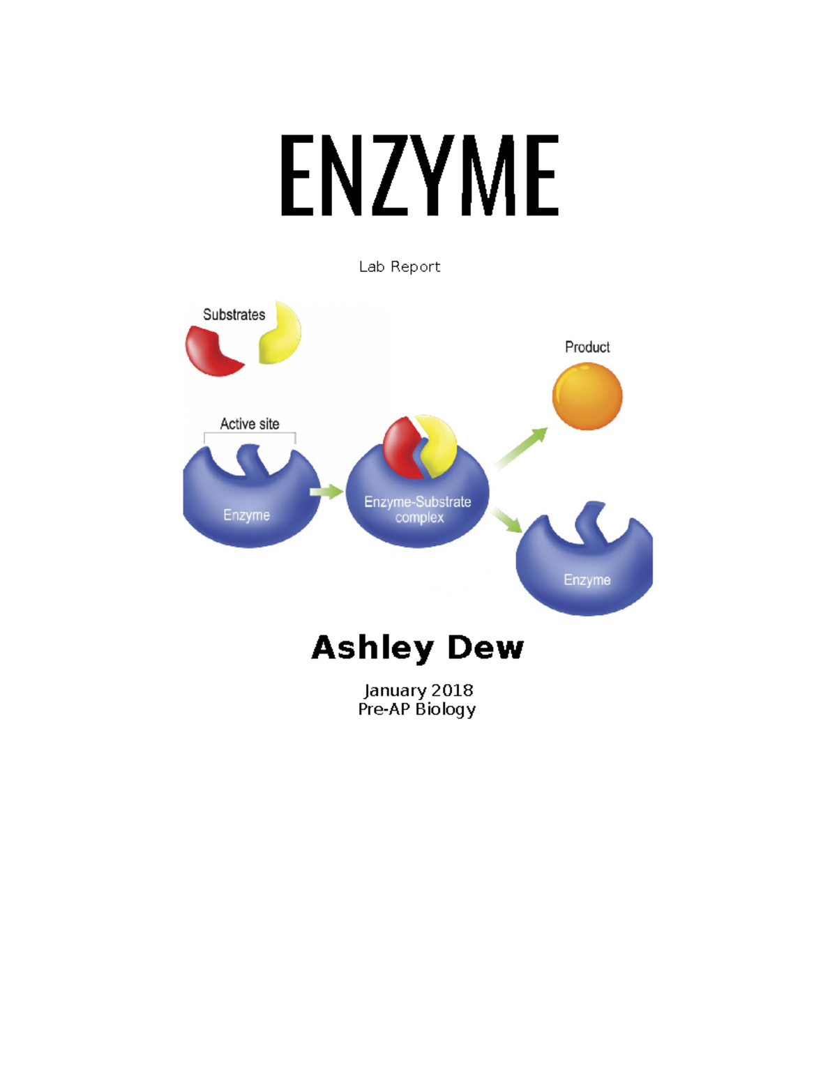 Enzyme Lab - ENZYME Lab Report Ashley Dew January 2018 Pre-AP Biology ...