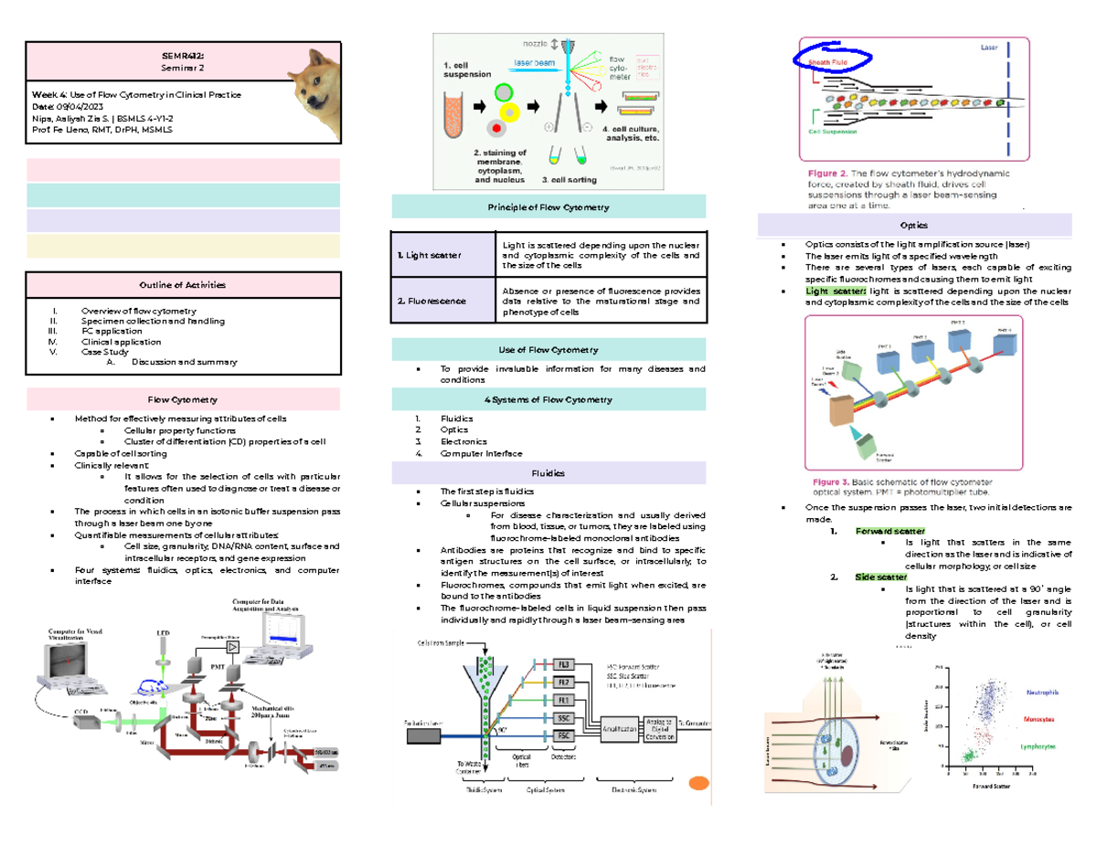 SEMR2-WK2-FLOW- Cytometry - SEMR412: Seminar 2 Week 4: Use of Flow ...