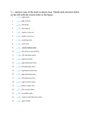 Endocrine System Lab assignment - Jennifer Salas Exercise 27 Review ...