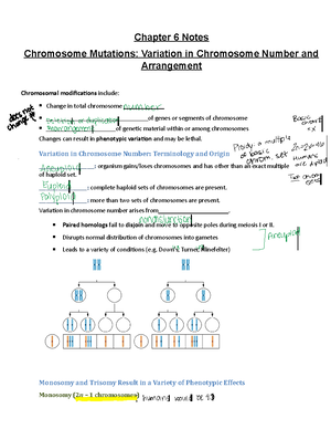 Chapter 4 Part 2 Notes - Modification of Mendelian Genetics - If blood ...