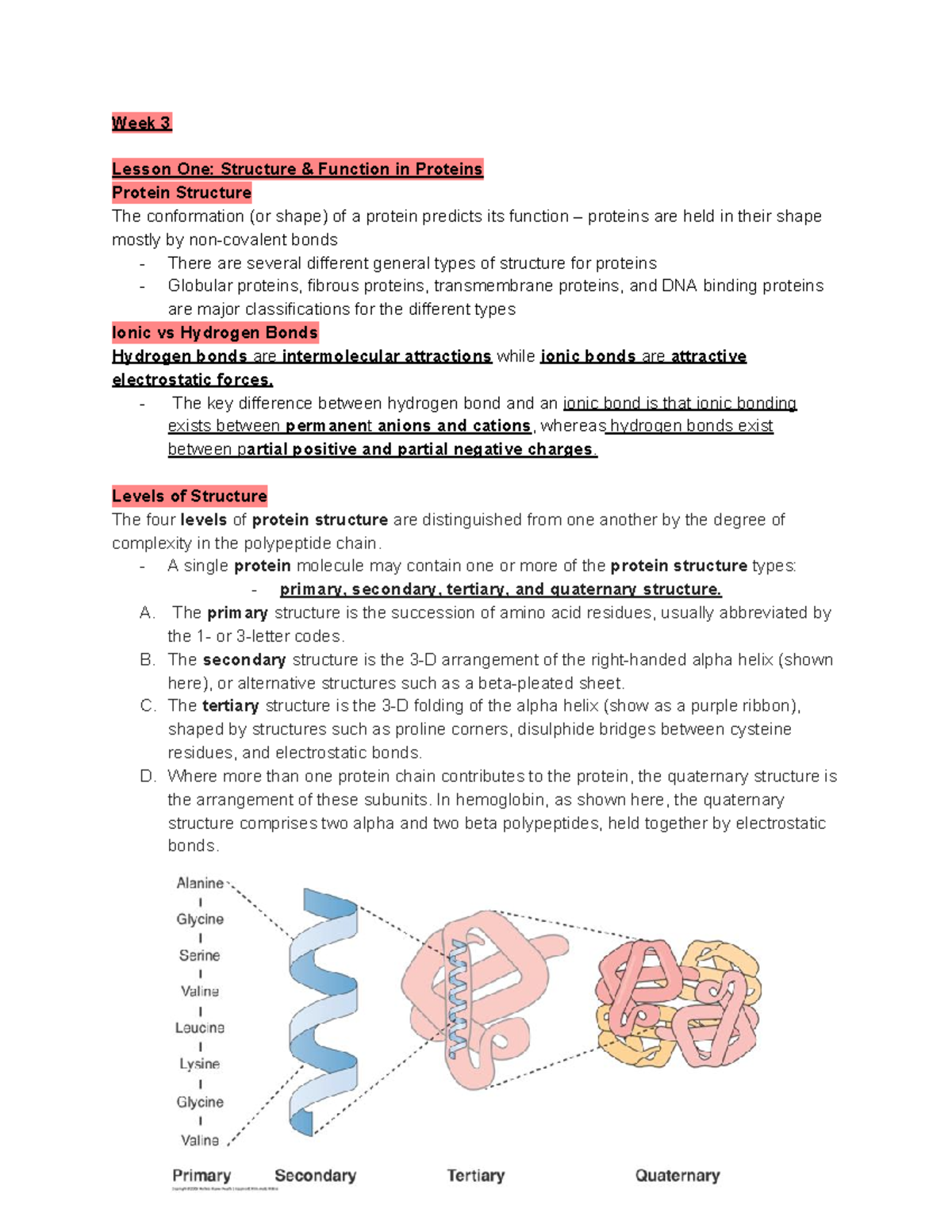 3- Structure & Function in Proteins + Enzymes - Week 3 Lesson One ...
