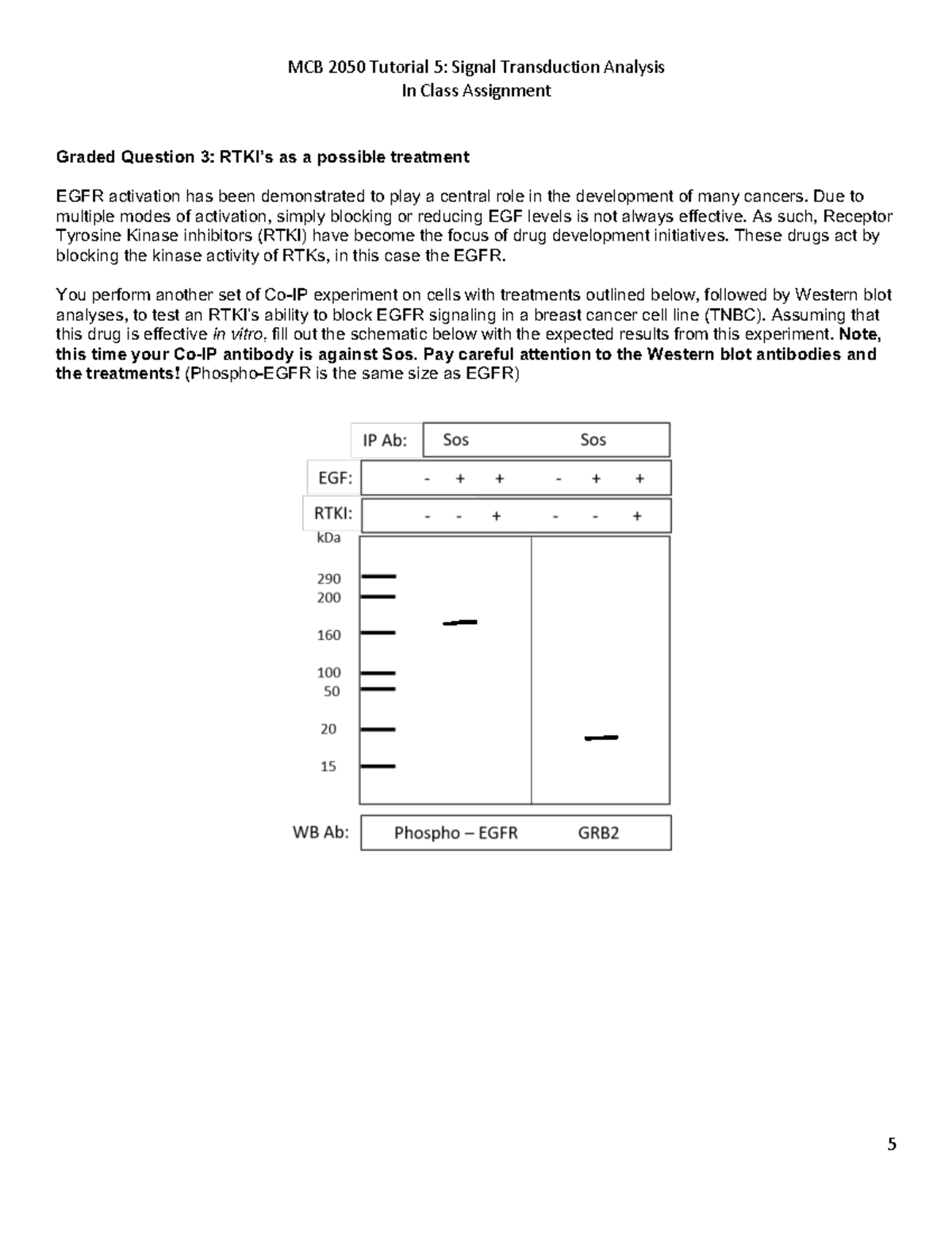 Tutorial 5 graded question - MCB 2050 Tutorial 5: Signal Transduction ...