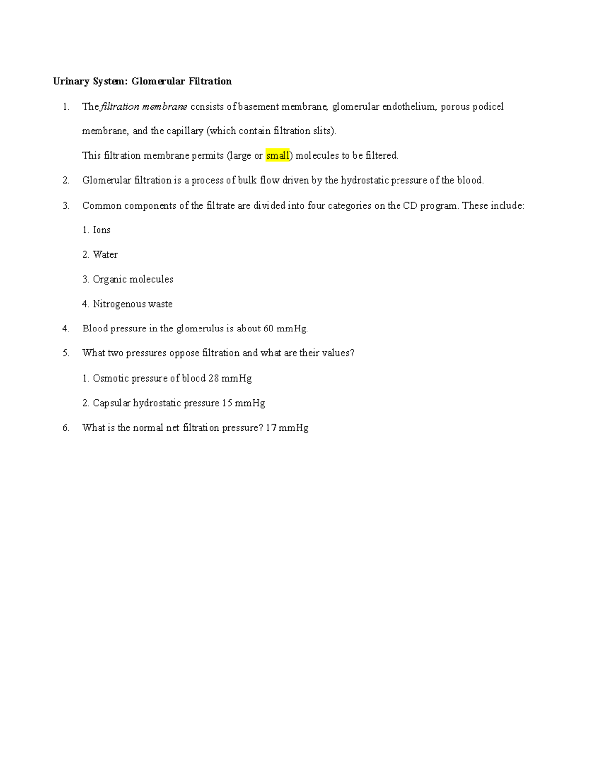 Urinary IP Glomerular Filtration Worksheet - Urinary System: Glomerular ...