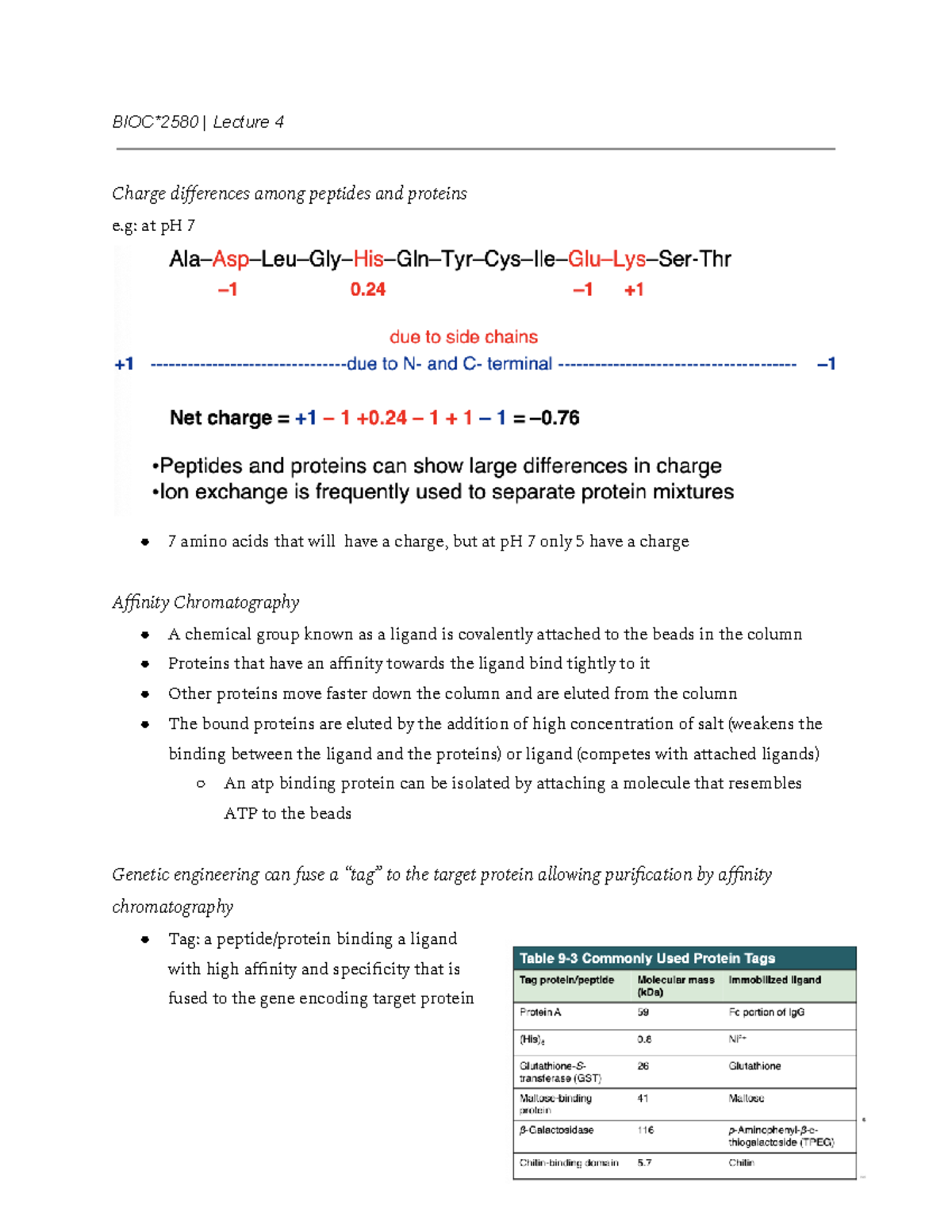 BIOC 2580 Lecture 4 - yeah - BIOC*2580 | Lecture 4 Charge differences among peptides and ...