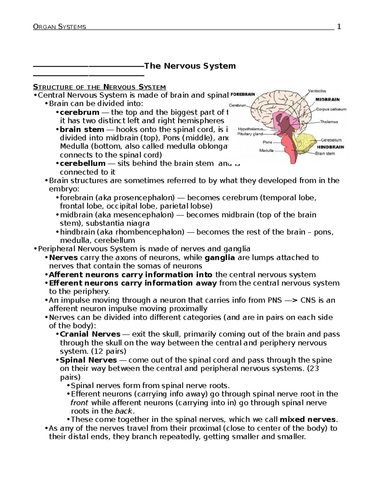 Khan Academy Notes - Organ Systems - v2 - ——————————————The Nervous ...