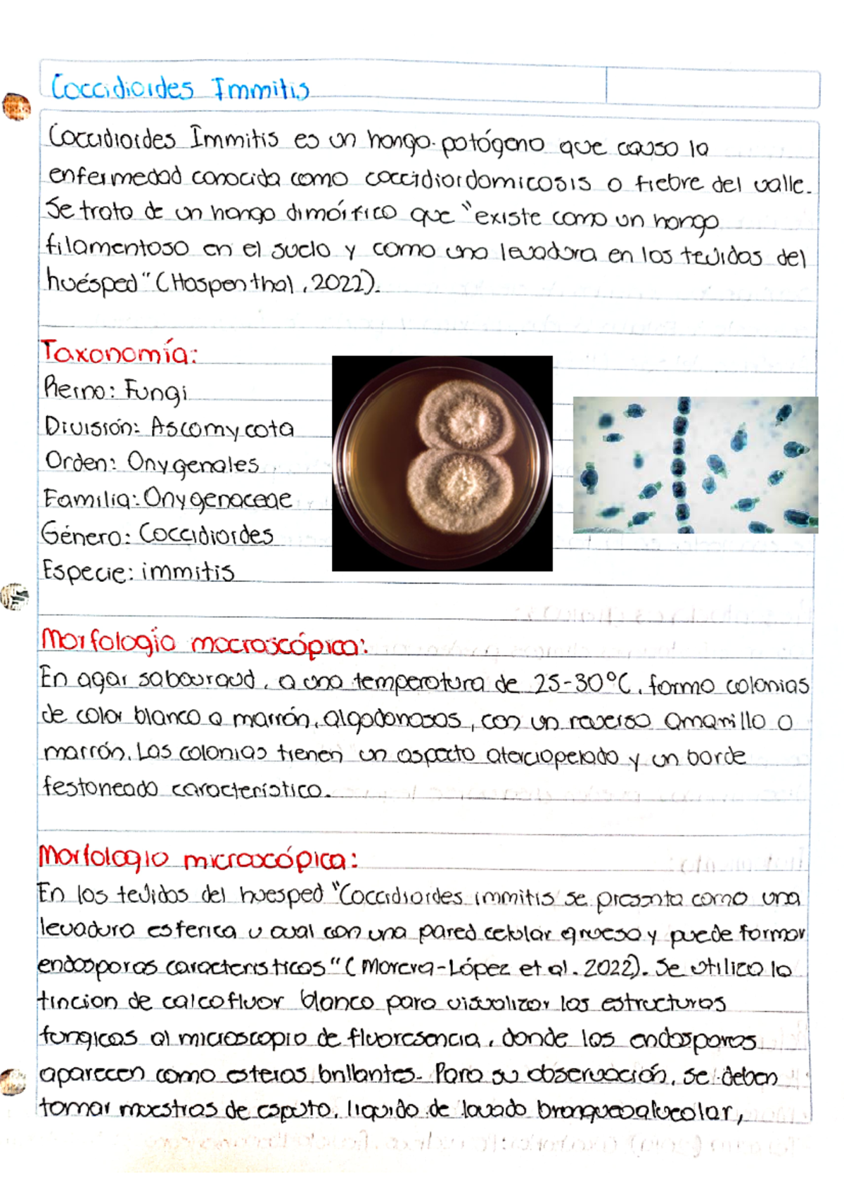 New Doc 05-04-2024 09.56 - Mycology - Studocu