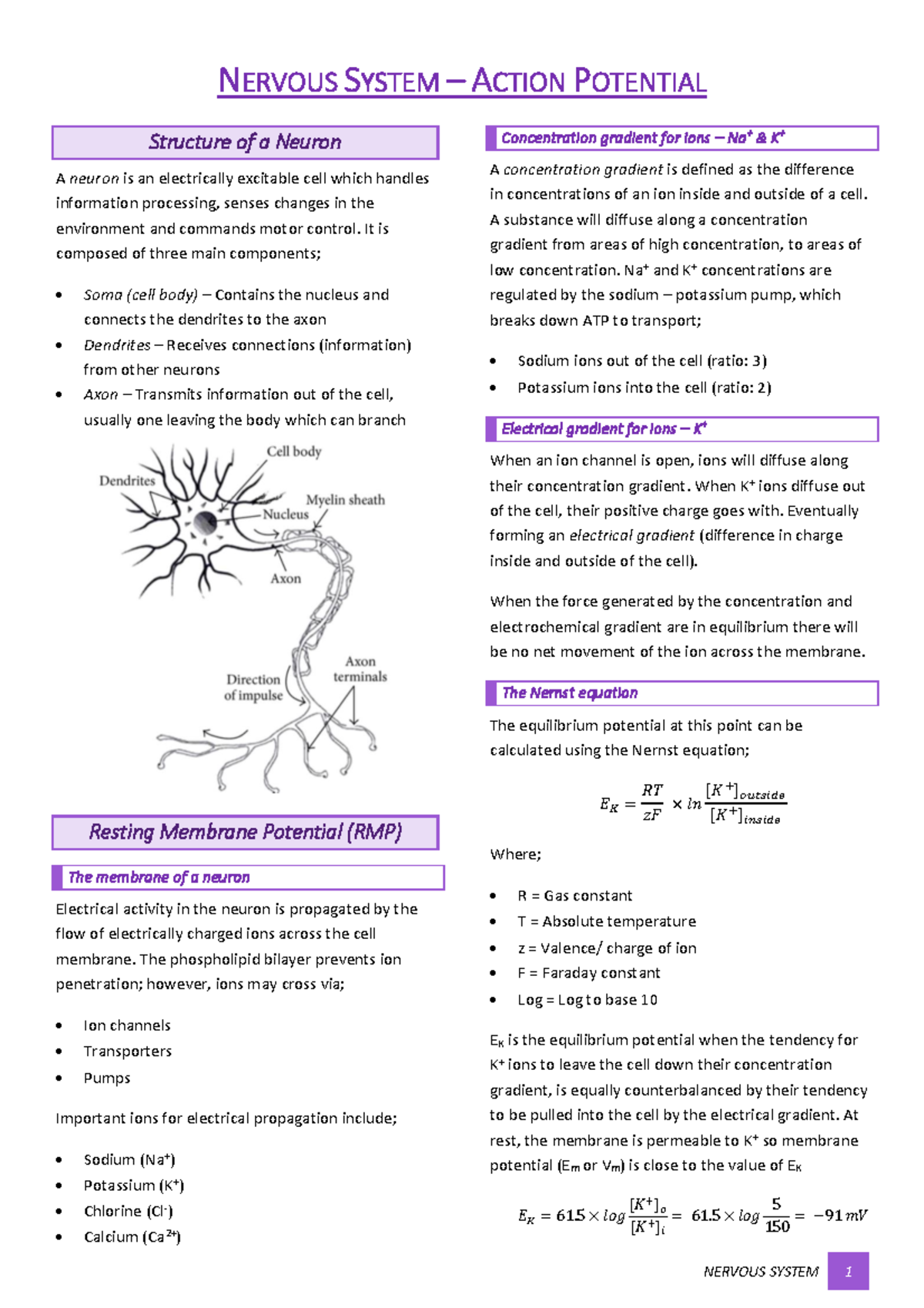 Nervous System Summary Warning Tt Undefined Function 32 Warning Tt Undefined Function 32 3690