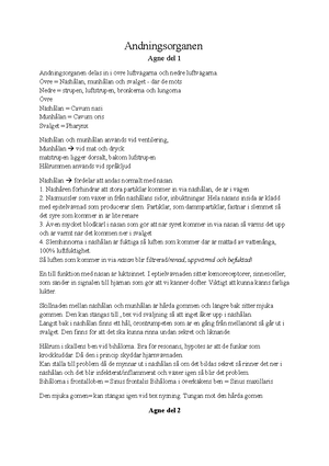 Andningssystemet Fysiologi - ANDNINGSSYSTEMET FYSIOLOGI HUR ÄR ...