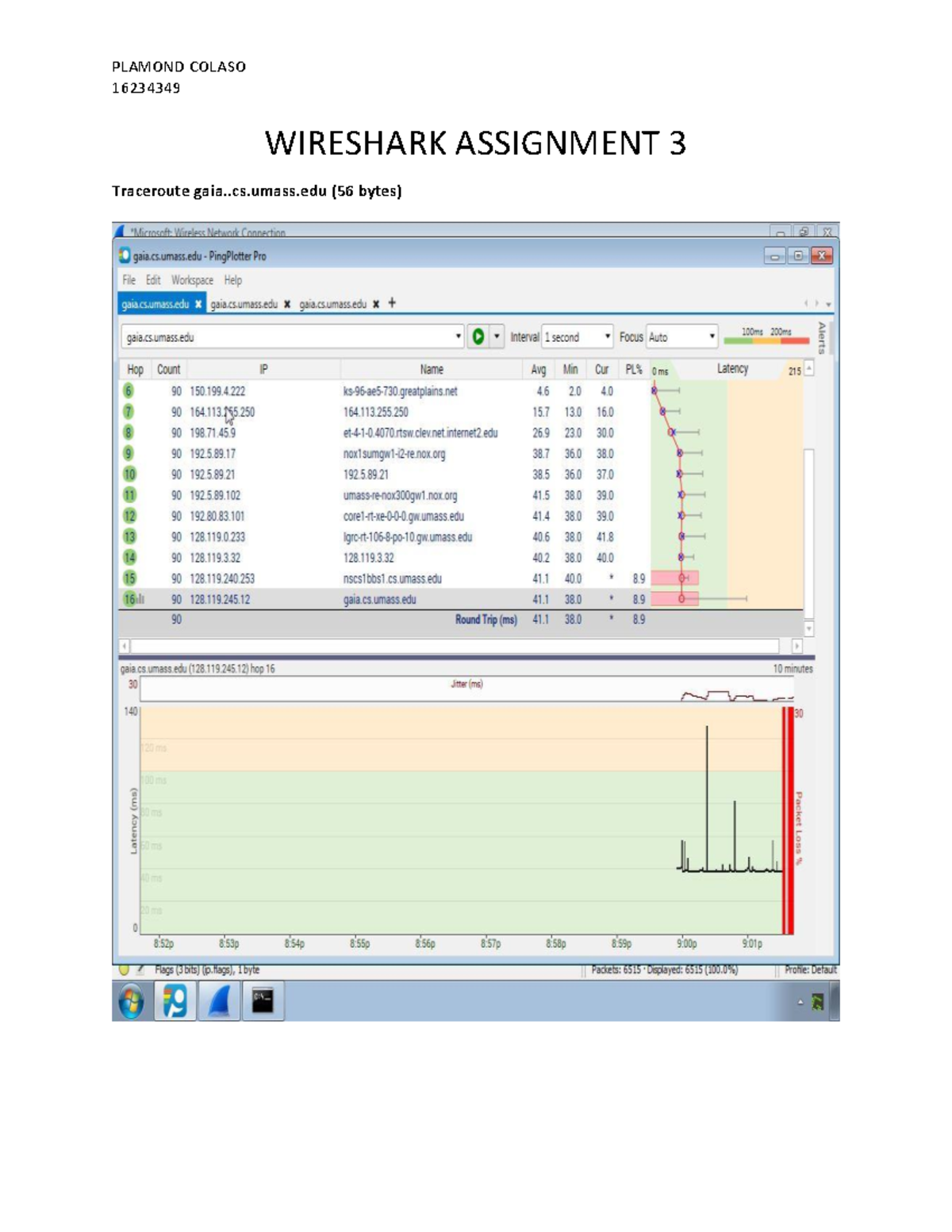 Wireshark Assignment 3 ( IP protocol) - PLAMOND COLASO 16234349 WIRESHARK ASSIGNMENT 3 ...