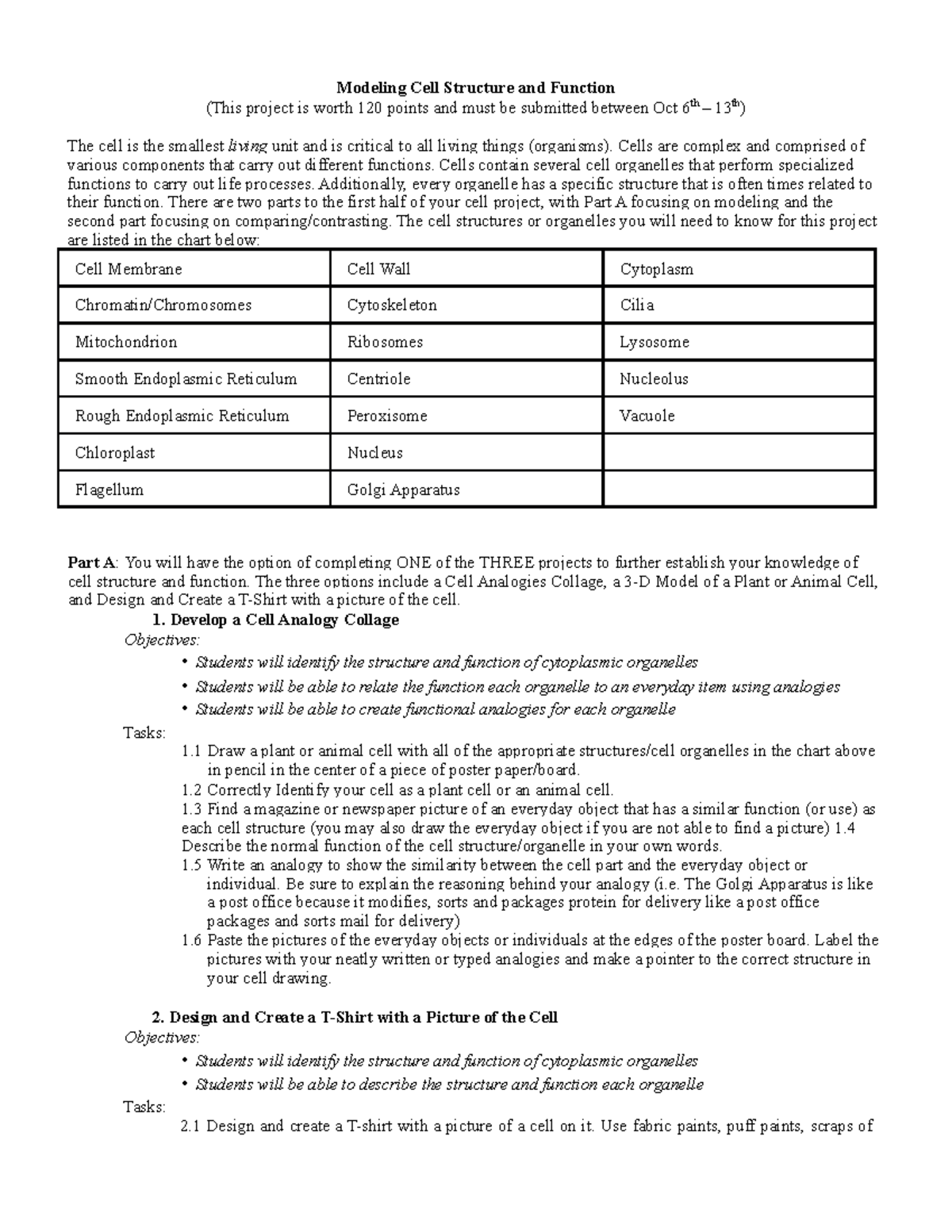 Cell Structure and Function Modeling condensed rubric - Modeling Cell ...