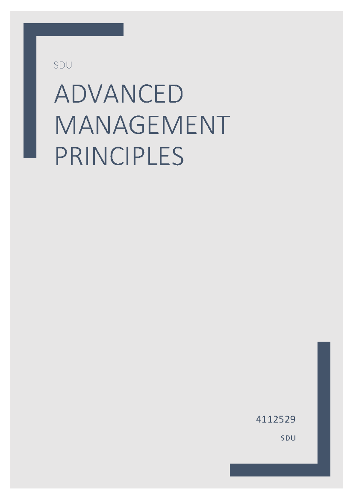 AMP-Assignment 1 - Mandatory assignment - SDU ADVANCED MANAGEMENT ...