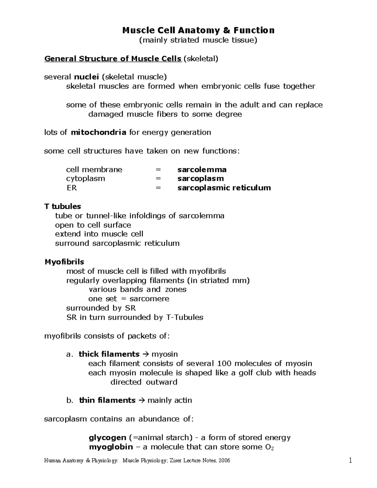 Muscle Physiology - Muscle Cell Anatomy Function (mainly striated ...