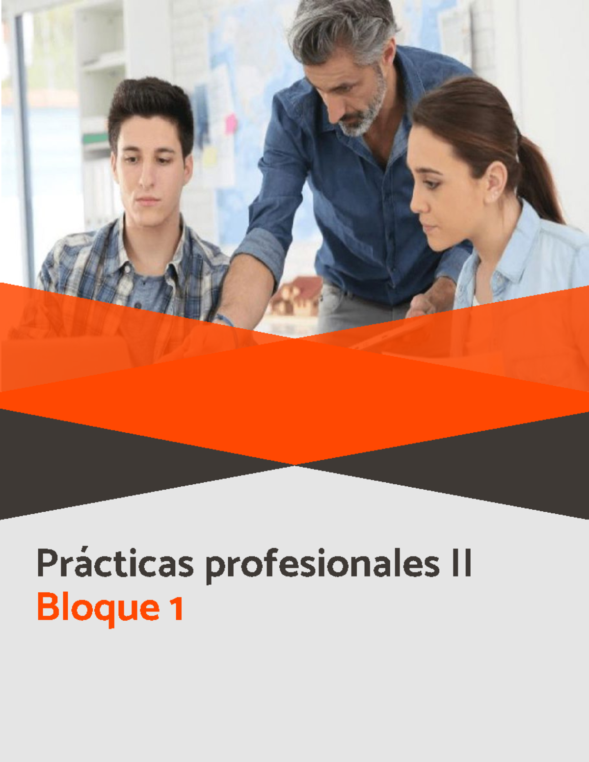 PPII Apunte B1 - Prácticas profesionales II Bloque 1 P rácticas Profesionales ii Contenido ...