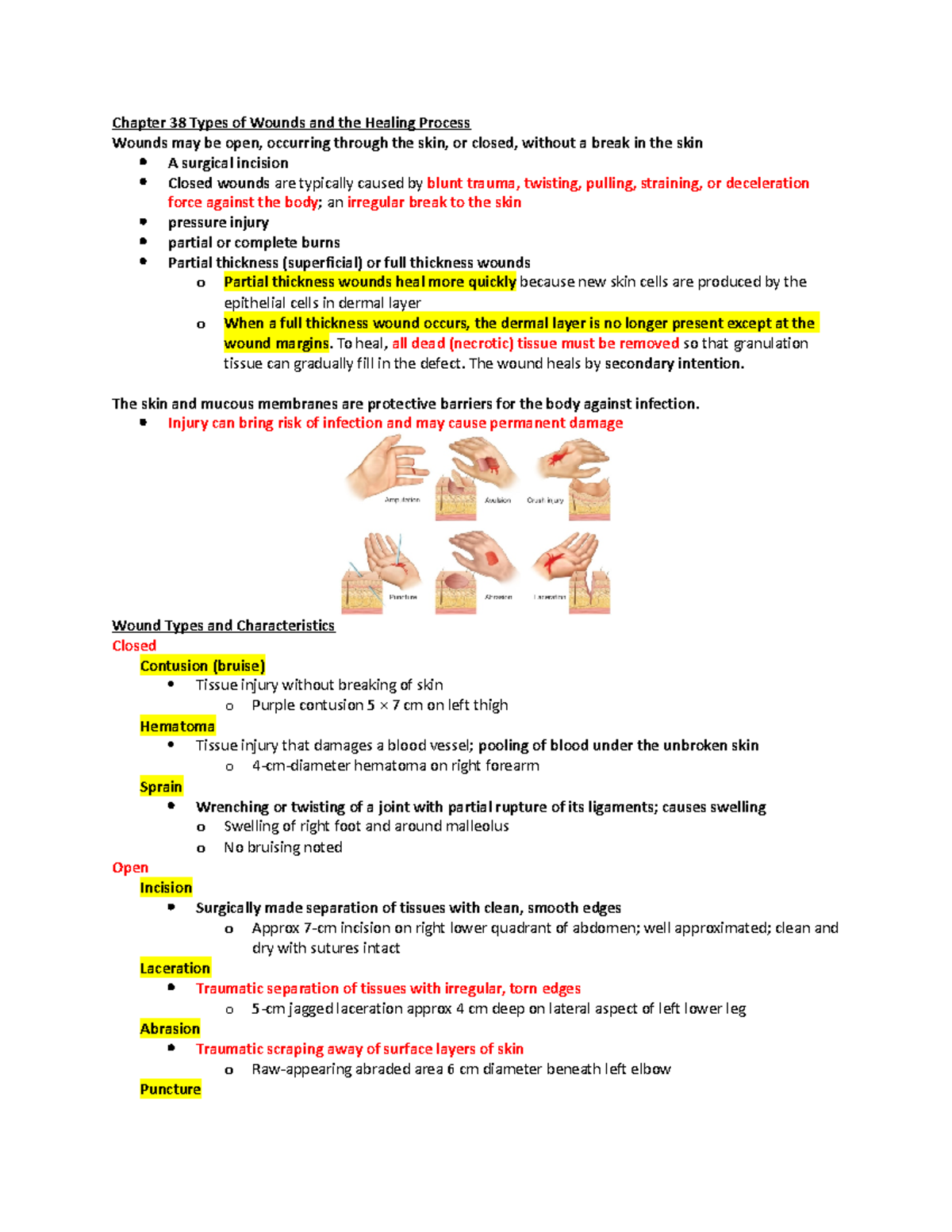 Chapter 38 Types of Wounds and the Healing Process - To heal, all dead ...