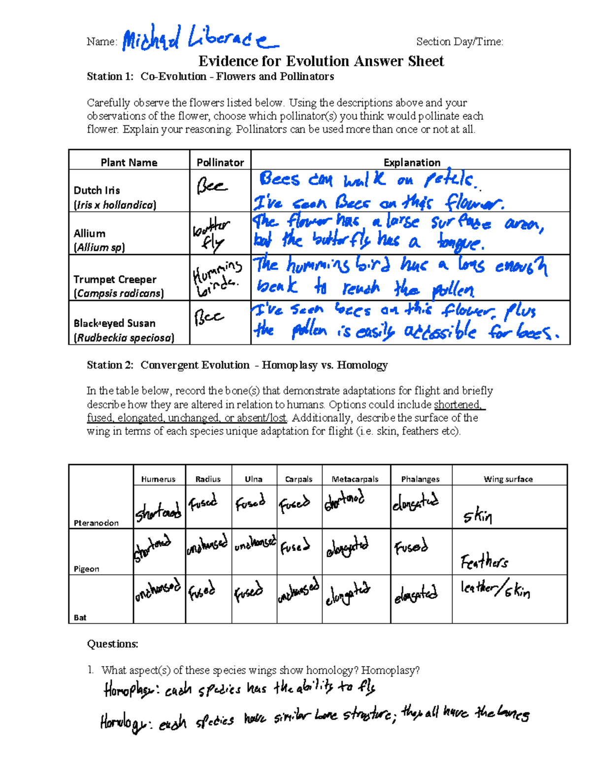 Evidence for Evolution Answer Sheet - Studocu