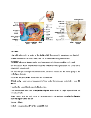 Practice Questions - Crohn, UC - In planning care for the patient with ...