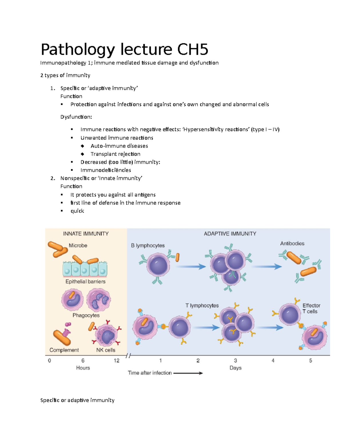 Pathology lecture CH5 - Pathology lecture CH Immunopathology 1; immune ...