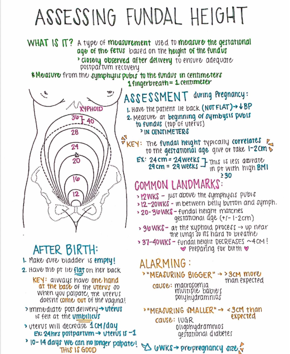 Fundal Height - Study Material - NURS 226 - Studocu