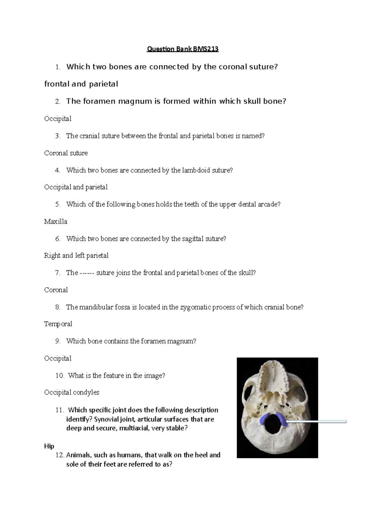 question-bank-bms213-which-two-bones-are-connected-by-the-coronal