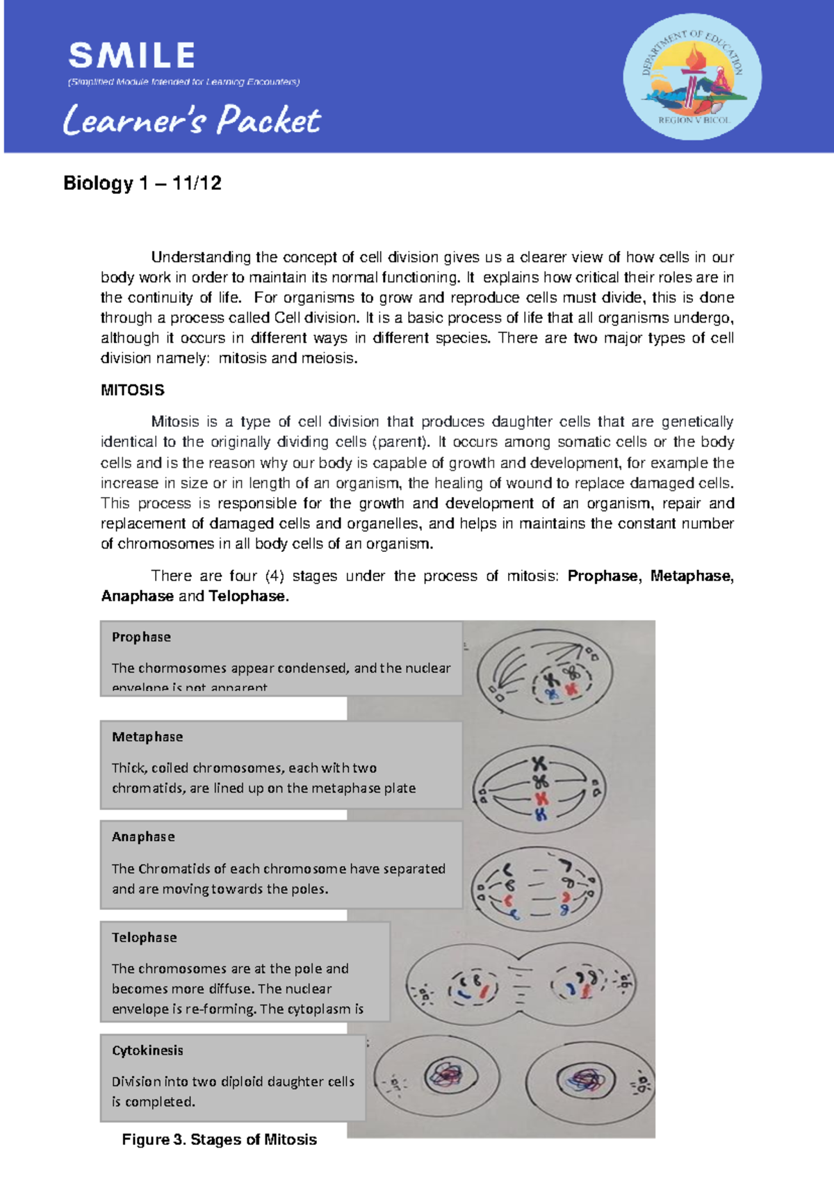Module 2 Gen Bio 1 Significance of Mitosis and Meiosis - 1 RO_BIOLOGY I ...