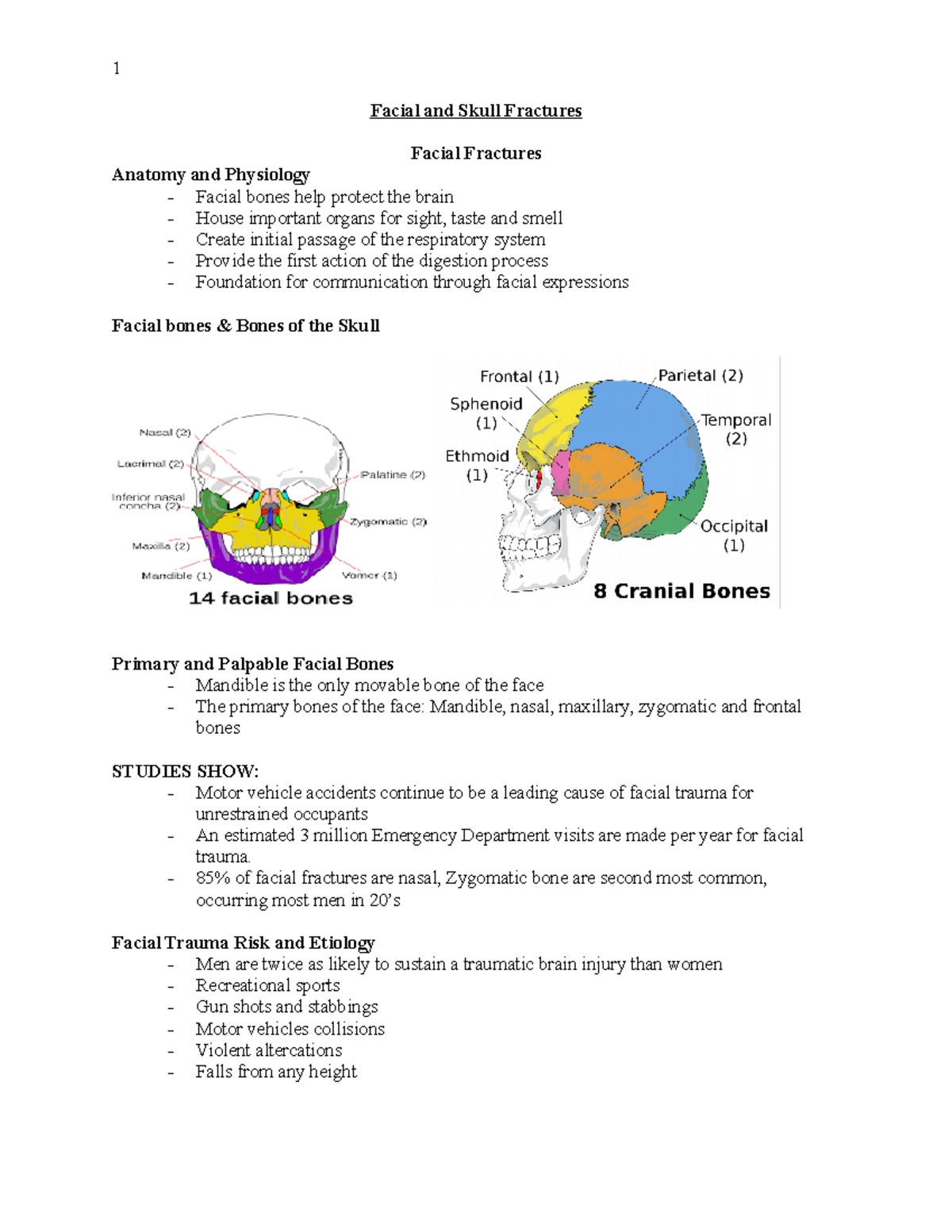 Facial and Skull Fracture Notes - Facial and Skull Fractures Facial ...